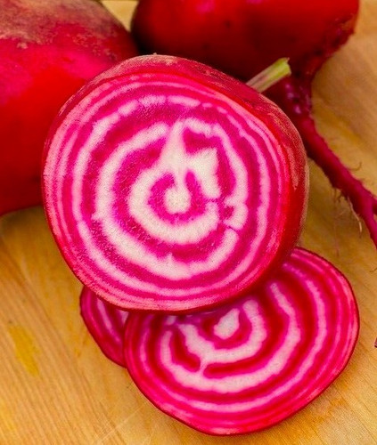 Chioggia Beet (Barbietola di Chioggia) | Roughwood Seed