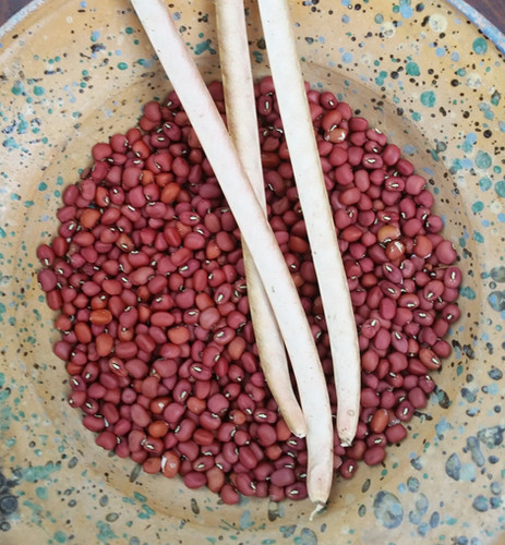 Red Rice Cowpea | Roughwood Seed