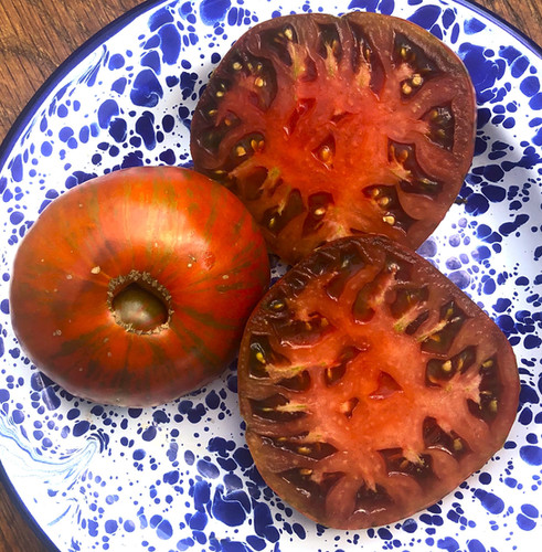 Pink Berkeley Tie-Dye Tomato | Roughwood Seed