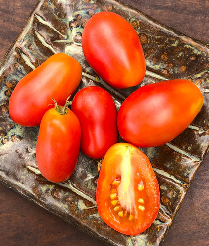 Mayan “Cumba’ Tomato | Roughwood Seed