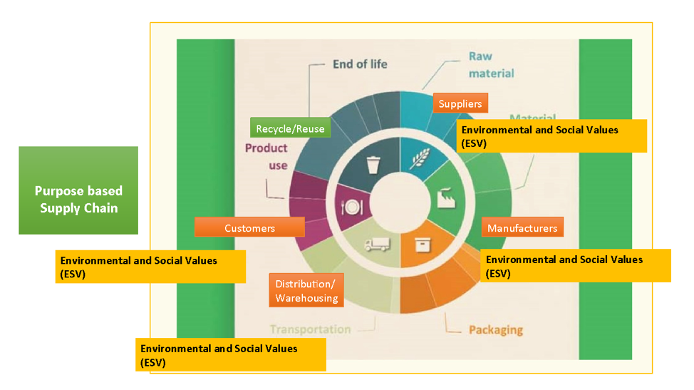 Sustainability in your Supply Chain: Are you Making the Change?