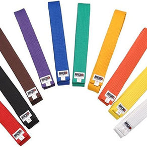 Martial arts | Ogawa Martial Arts | Fort Erie