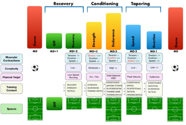 Periodización Táctica VS Entrenamiento Estructurado