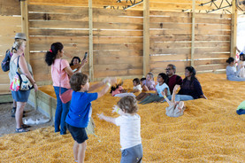 HOME | Phillips Farms