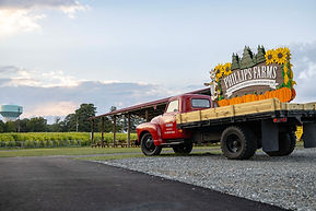 Phillips Farms of Cary I Family Fun Park