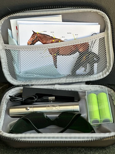 Therapy Torch | Postural Pony