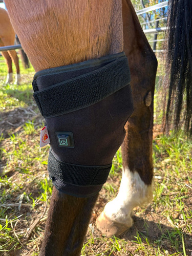 Multi Radiance Therapy Hock Boot | Postural Pony