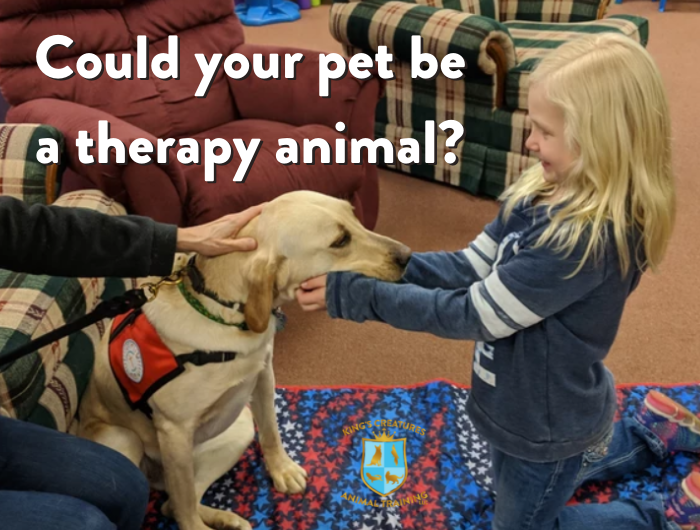 5 Signs Your Pet Might Make a Good Therapy Animal
