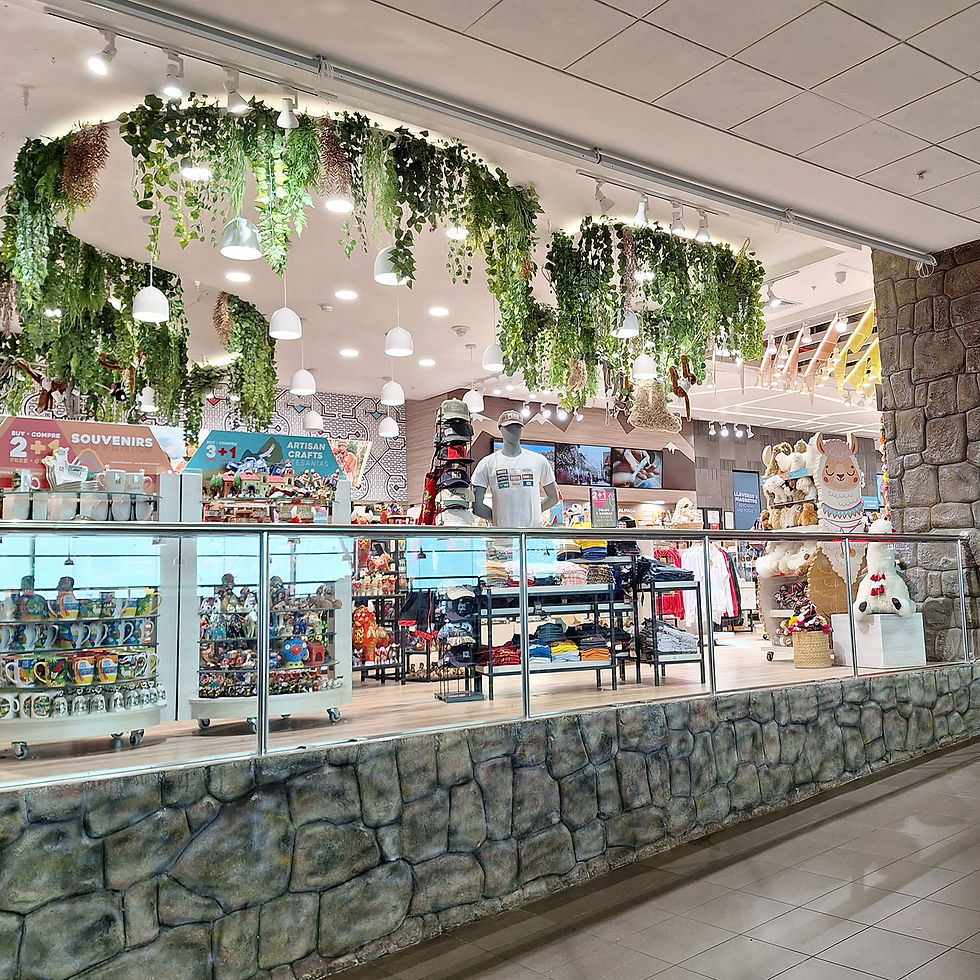 RUMBO PERU THE NEW CONCEPT OF MORPHO