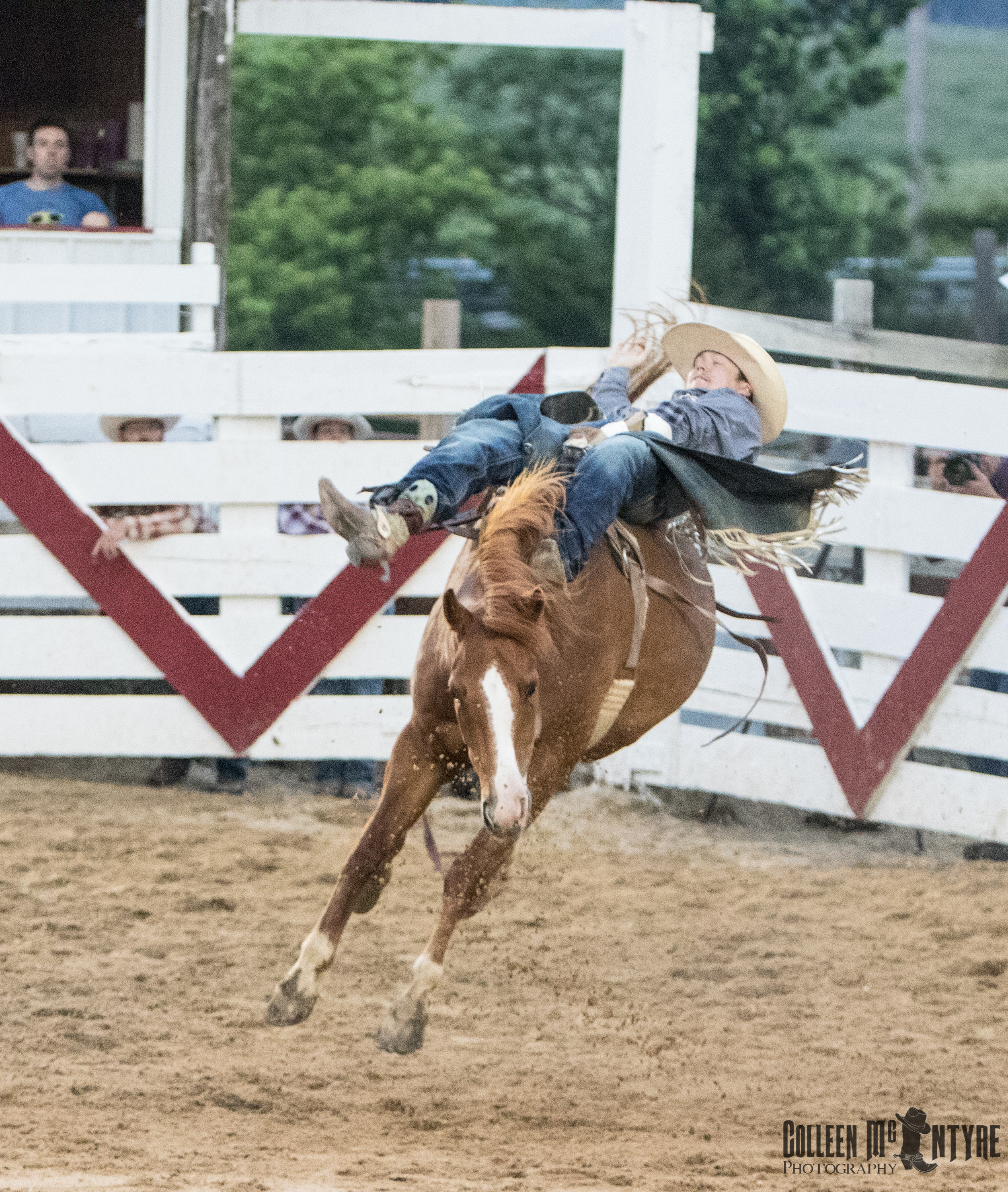 Rodeo Photography | Mysite