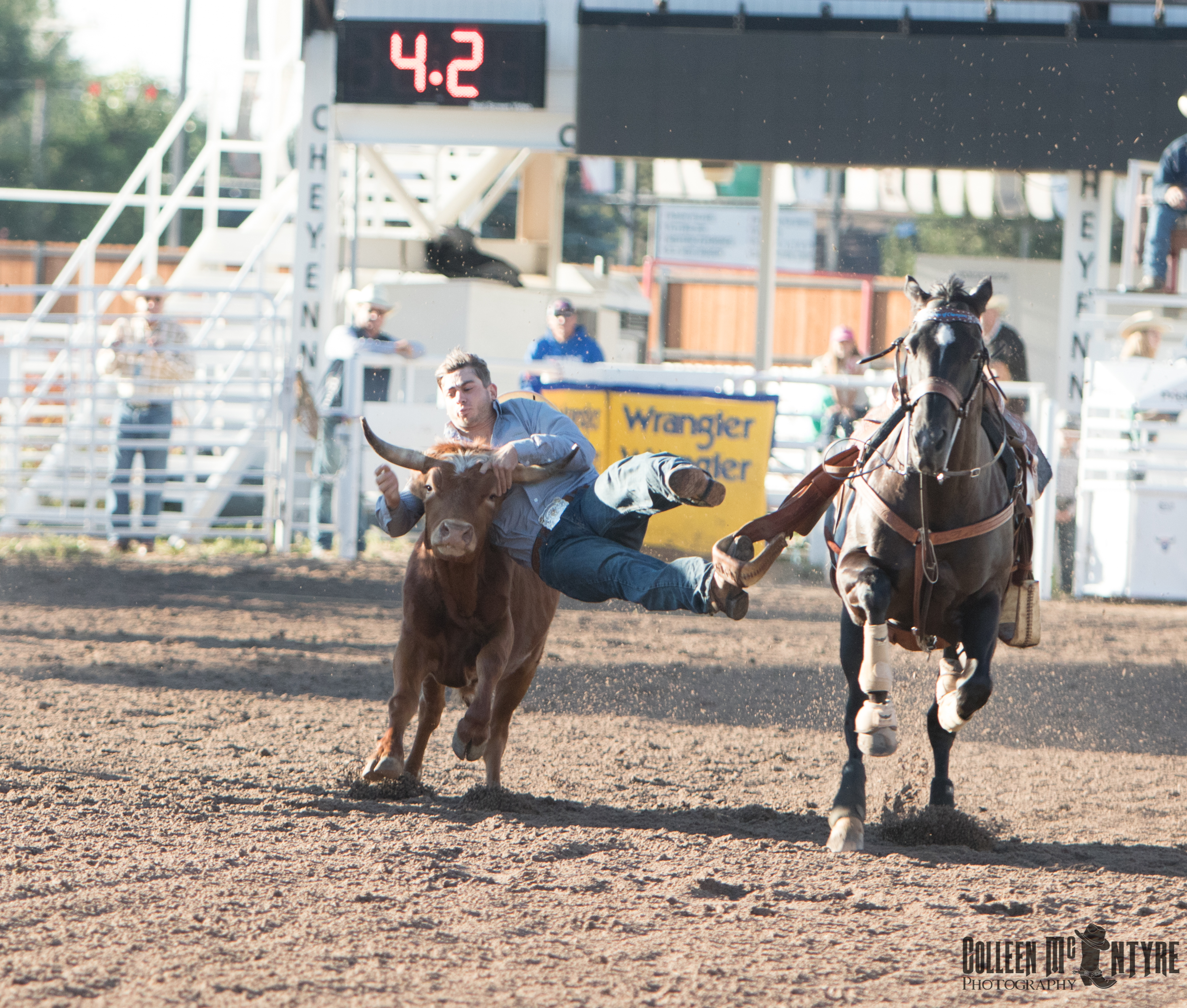 Rodeo Photography | Mysite