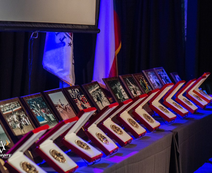 Photographer | Avid Visual Imagery