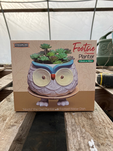 “Hoots” the Owl Planter with Footed Water Dish by Streamline | Stardust ...