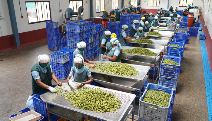 Gallery | Indus Vegpro