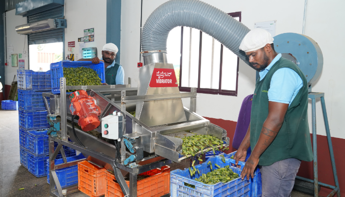 Gallery | Indus Vegpro