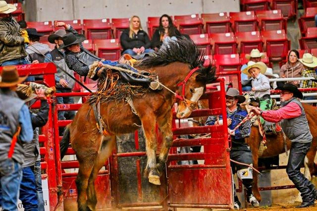 Rodeo | Rocky Mountain Professional Rodeo Association (RMPRA)