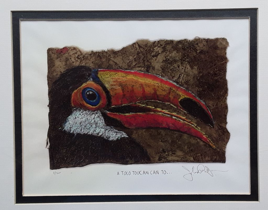 John Paul Morgan A Toco Toucan Can Too!