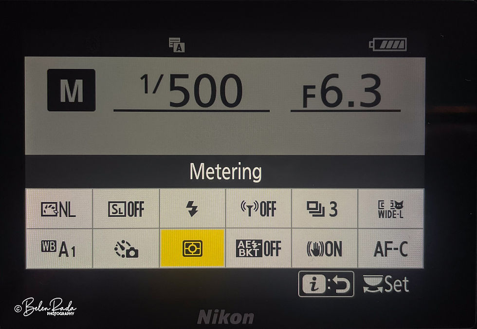 Camera Metering Modes Explained (How & When to Use Them)