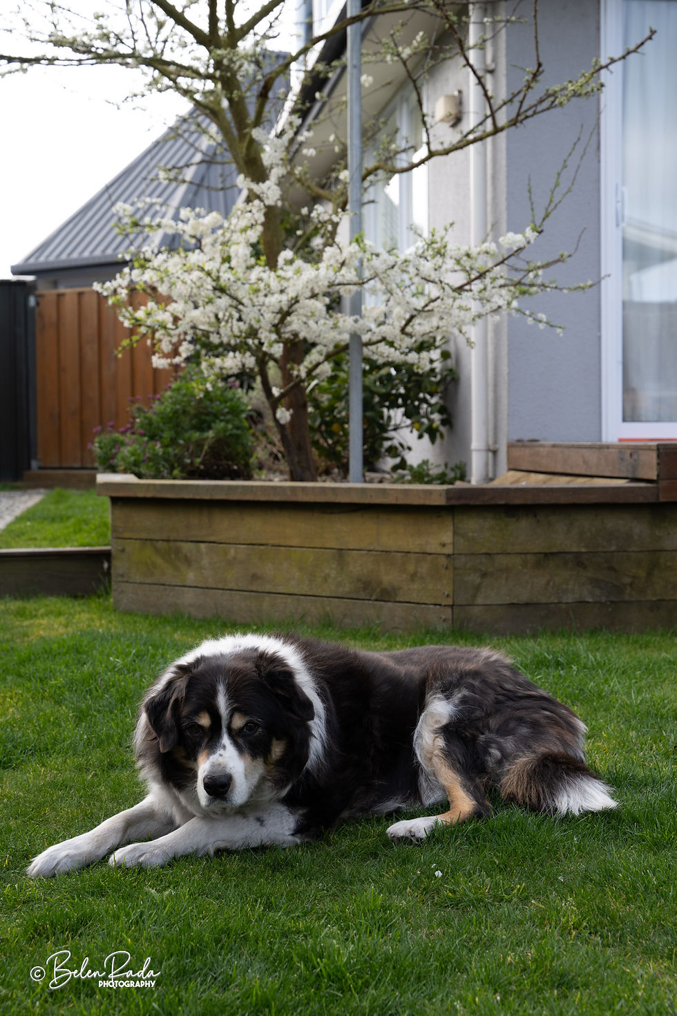 Camera Metering Modes Explained (How & When to Use Them)