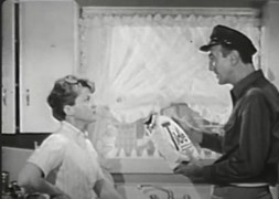 tide print ad analysis