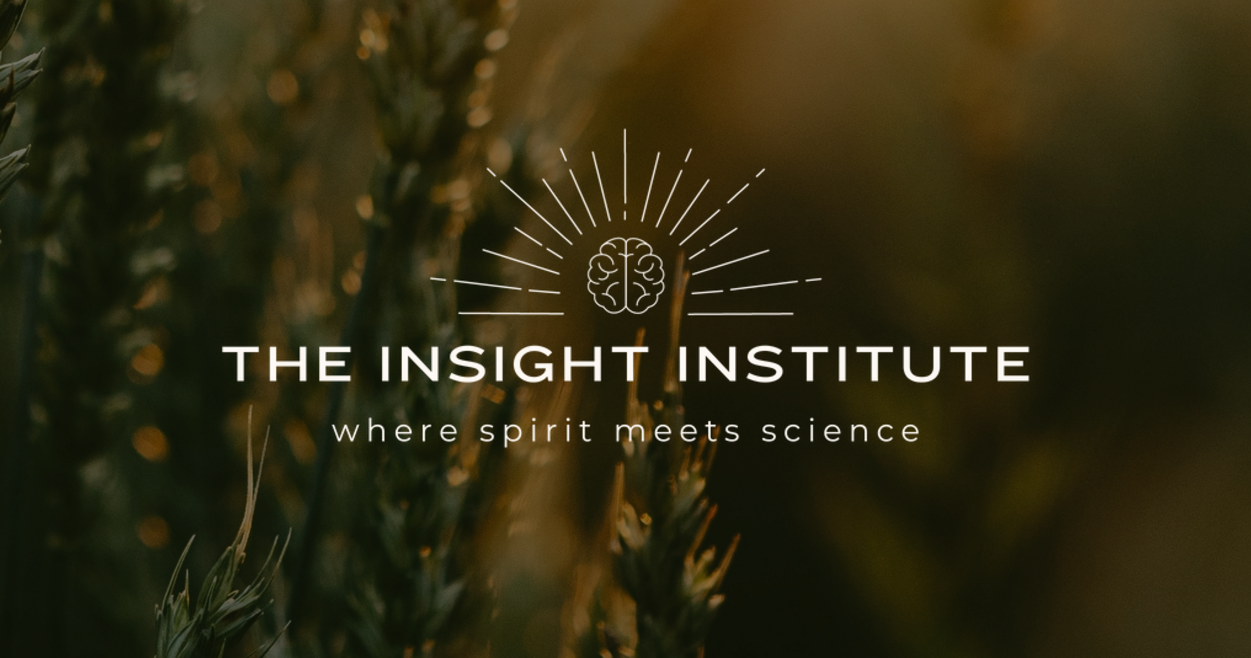 About | The Insight Institute