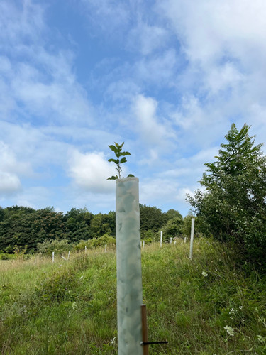 NEWLIFE HABITATS