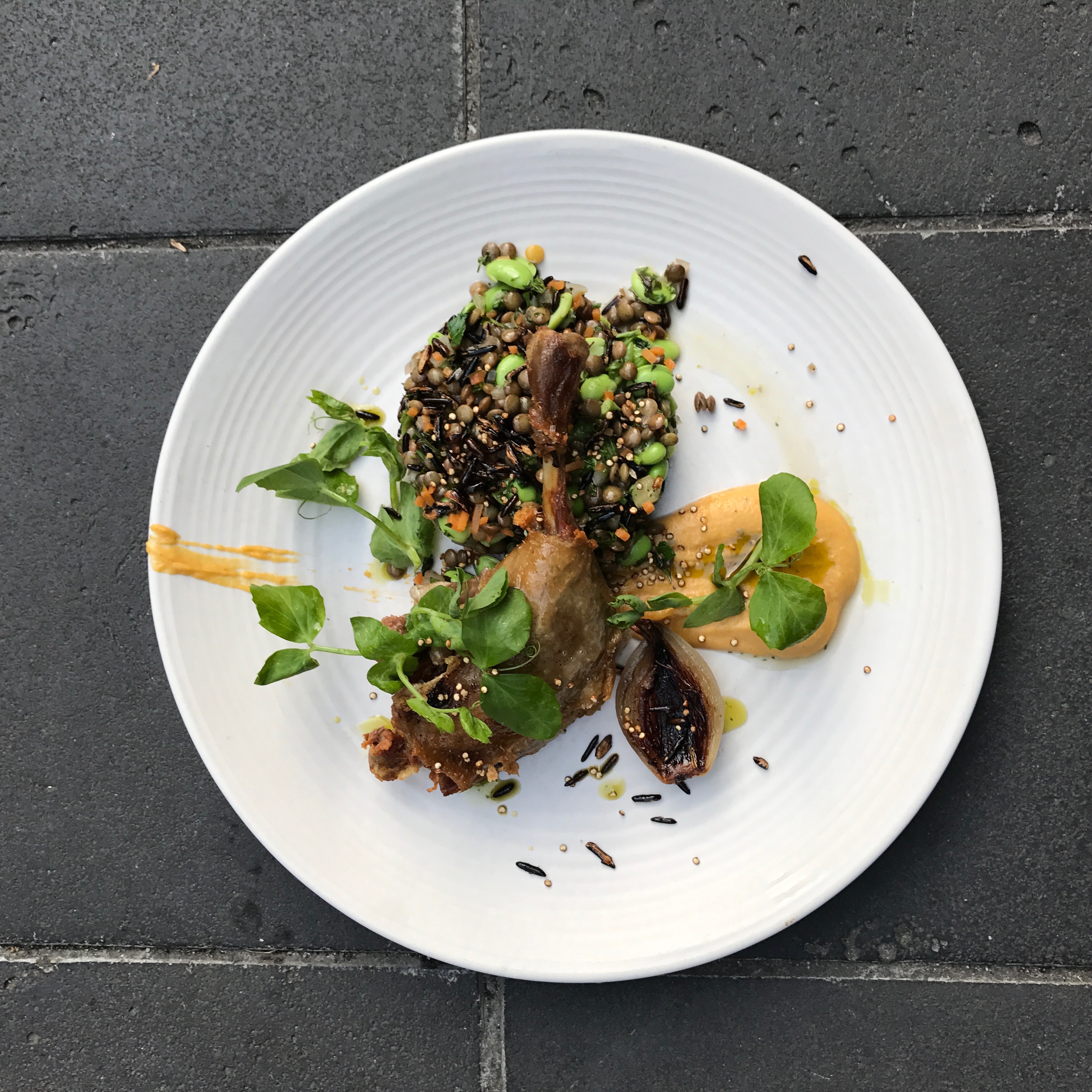 Cafes - Breakfast Canteen - Coffee - South Yarra - Two Birds One Stone Cafe