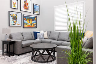 Living and Family Rooms | Vision Interiors