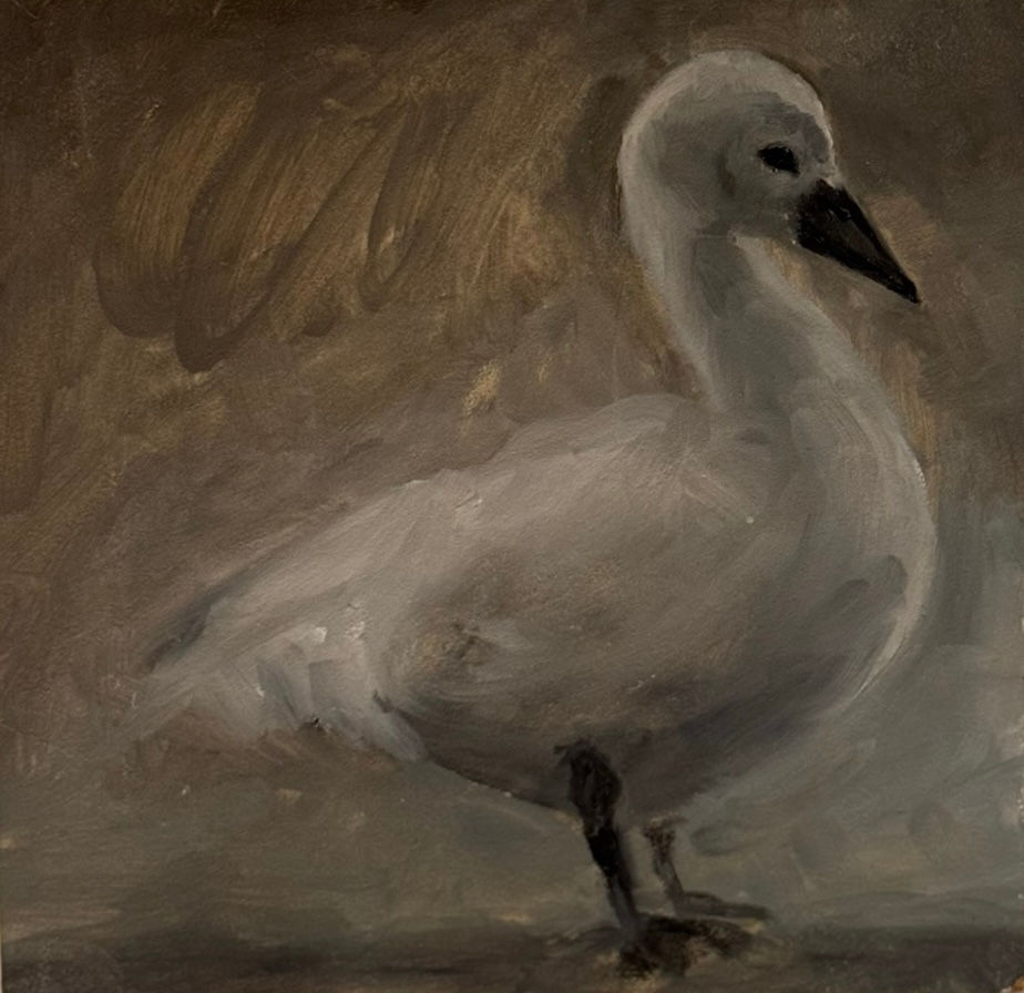 Animal Magic Series, Duck | Autumn Elise Vintage