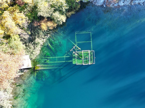 Lake Hydra | Our Gallery | Lehigh Valley Pennsylvania