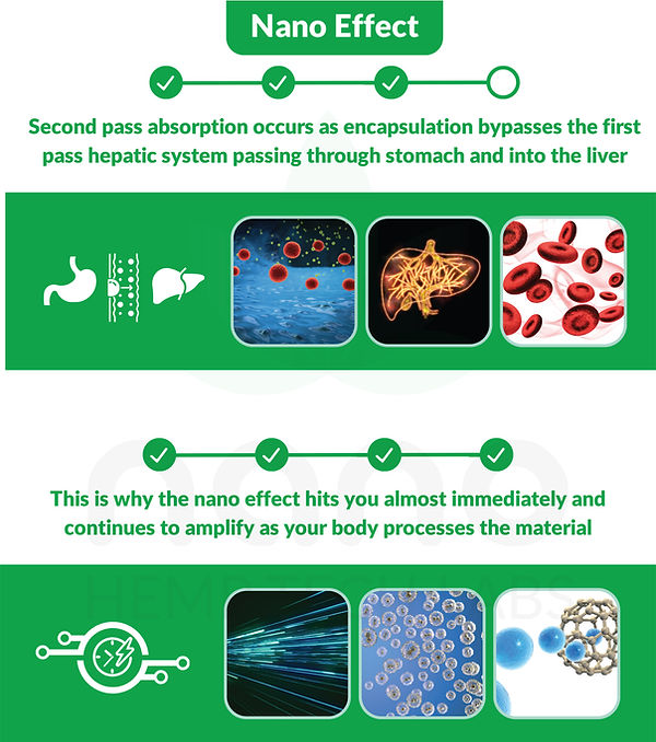 How Does Nano Work? | The Nano Effect | Bob's Infamous