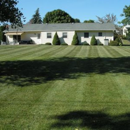 Keep Your Grass Short or Long? Pros and Cons