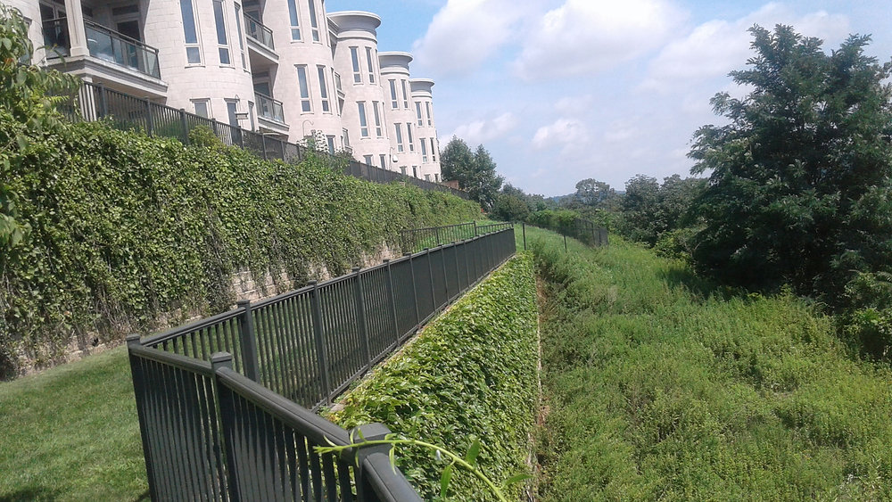 PROJECT: SKYLINE RIDGE