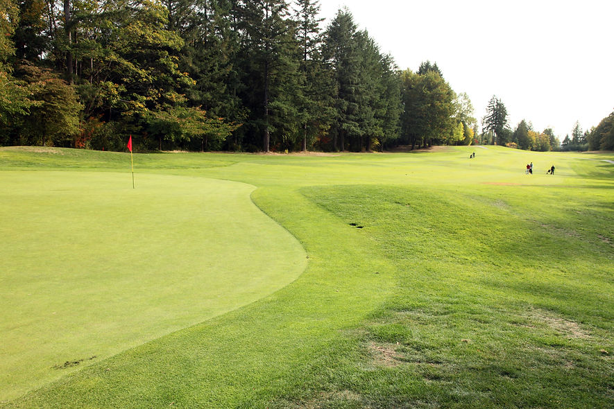 Golf Chilliwack | The Falls Golf Club