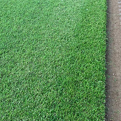 Turf Supplier | Wright Turf | Colchester