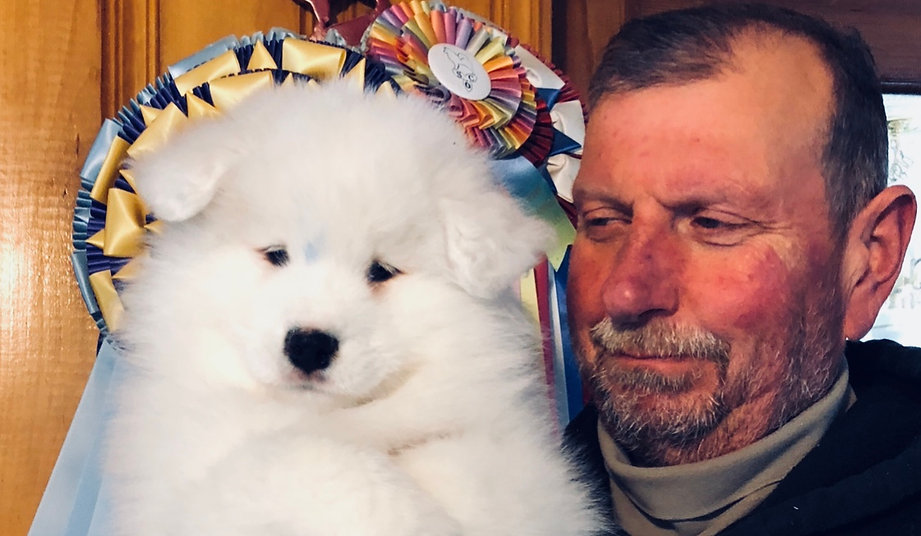 About/Contact | vanderbiltsamoyeds