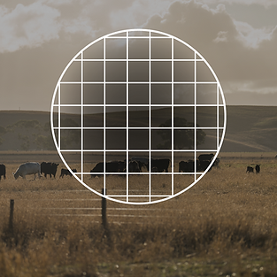 FENCING PRODUCTS | AWP Fencing