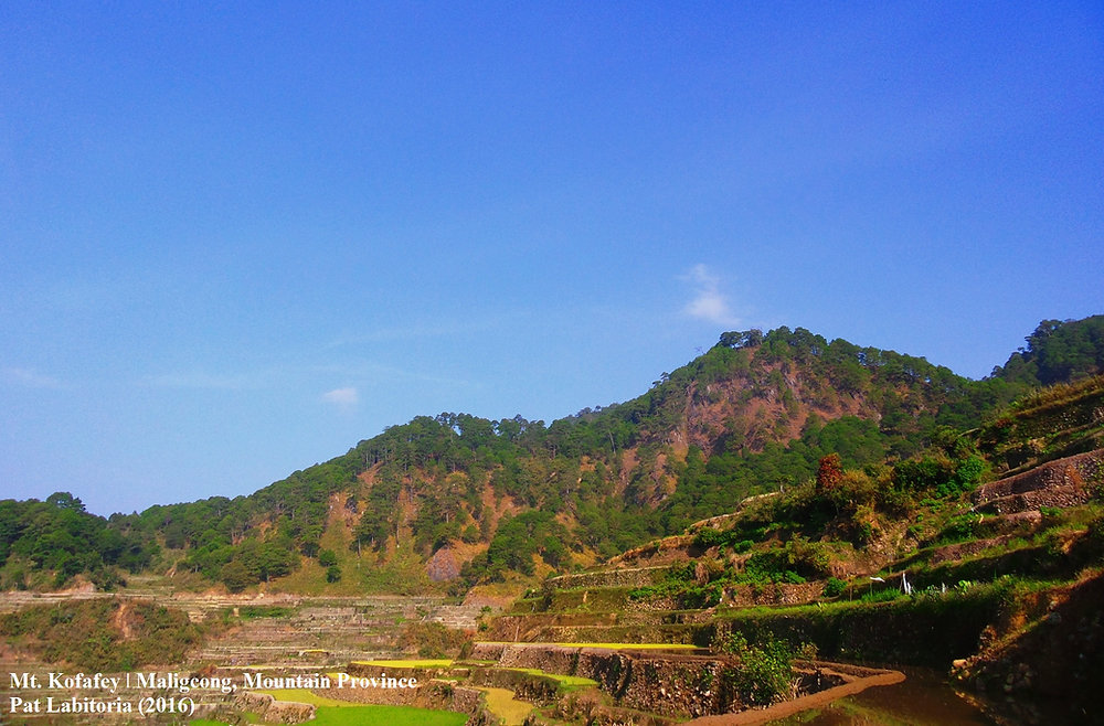 Mt. Kofafey: A Window to the Wonders of Maligcong, Mountain Province