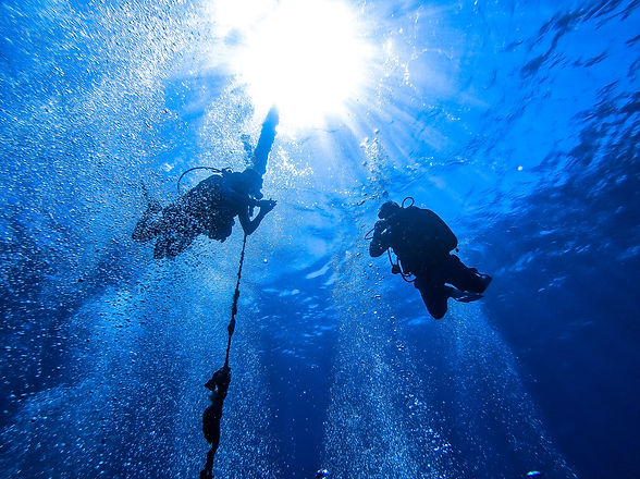 diving into deep ocean