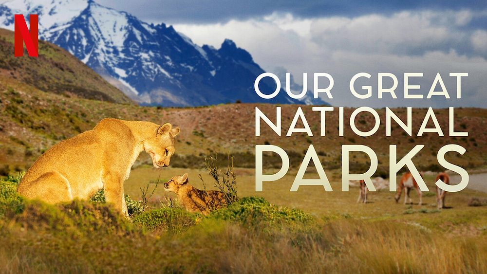 Celebrate Earth Day with a Student Viewing Worksheet for Netflix's "Our ...