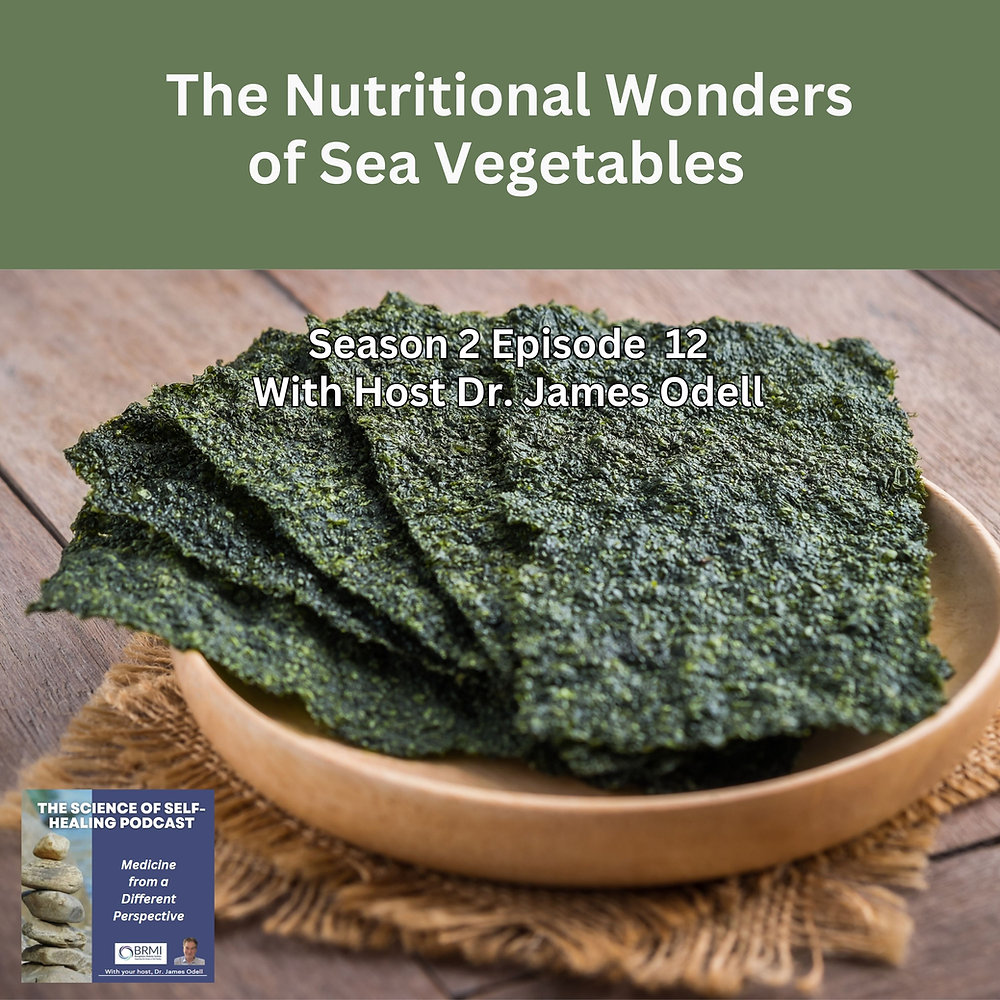 The Nutritional Wonders of Sea Vegetables