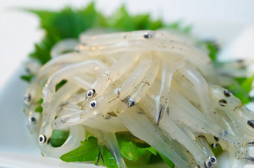 青森縣生白魚 Aomori Ice Fish Shirauo 200g | Pirineko 辣喵