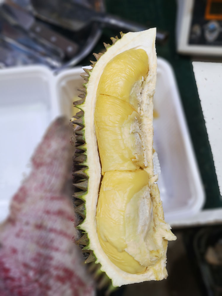 Ultimate Malaysian Durian Guide | 99 Old Trees