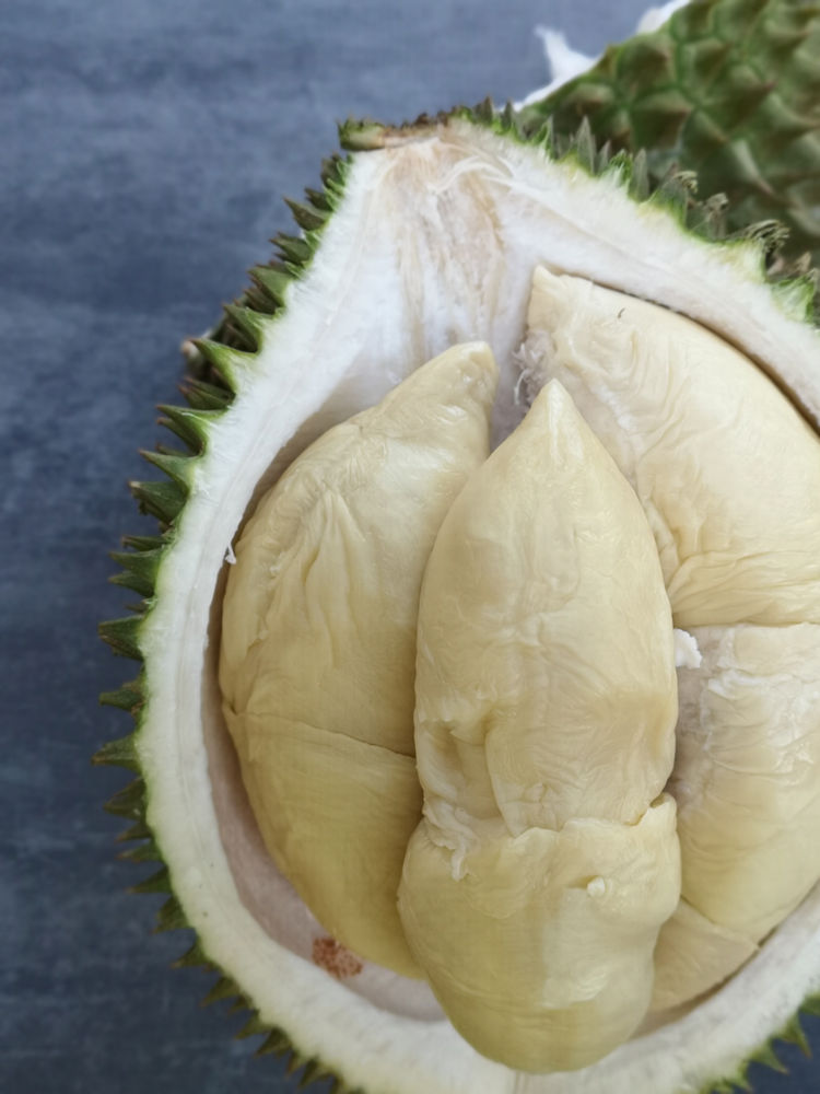 Ultimate Malaysian Durian Guide | 99 Old Trees