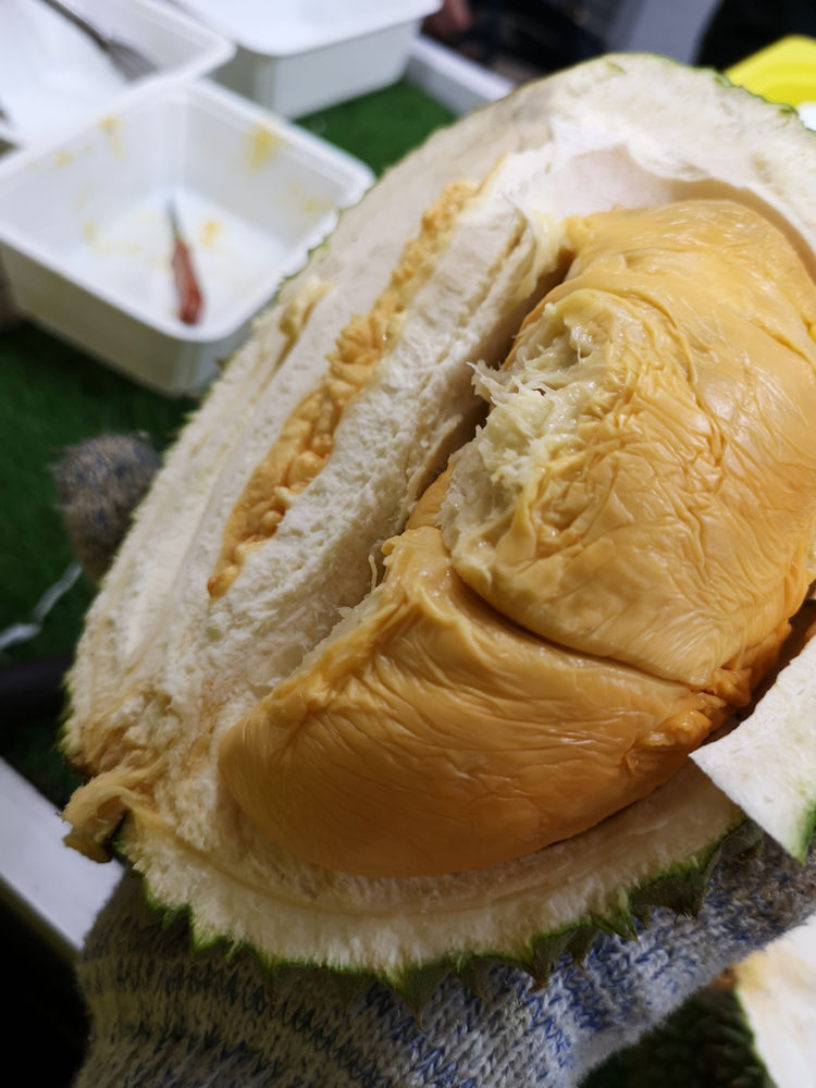 Ultimate Malaysian Durian Guide | 99 Old Trees