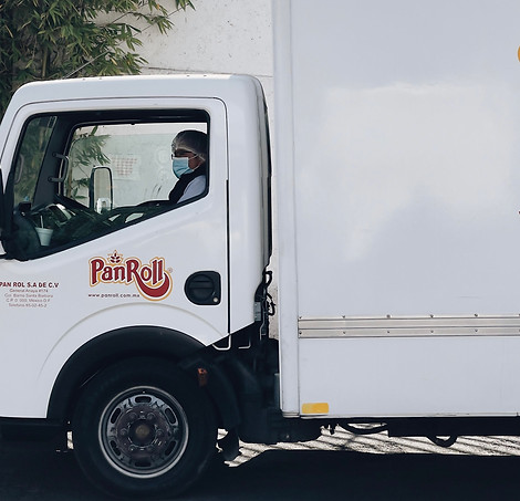 Copia de Inicio | PanRoll