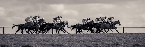 Dual Purpose Racing Yard | Laura Horsfall Racing | Maidford