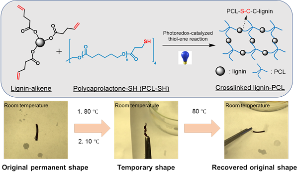 Lignin-based polymers | chunggroup
