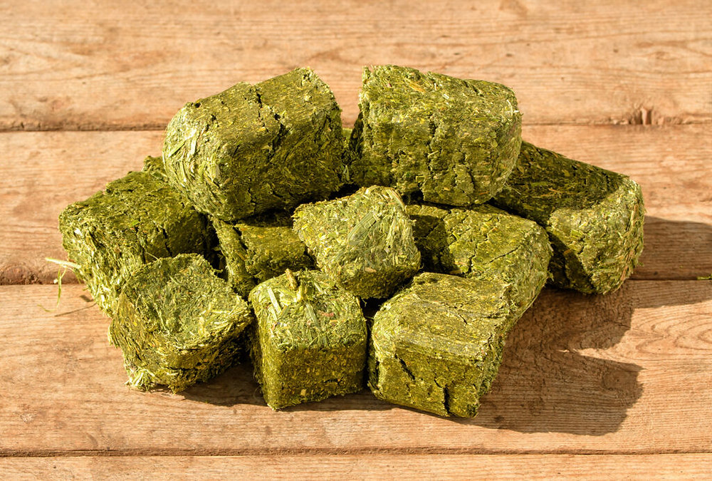 Let's Learn! What's the Scoop with Hay Cubes?