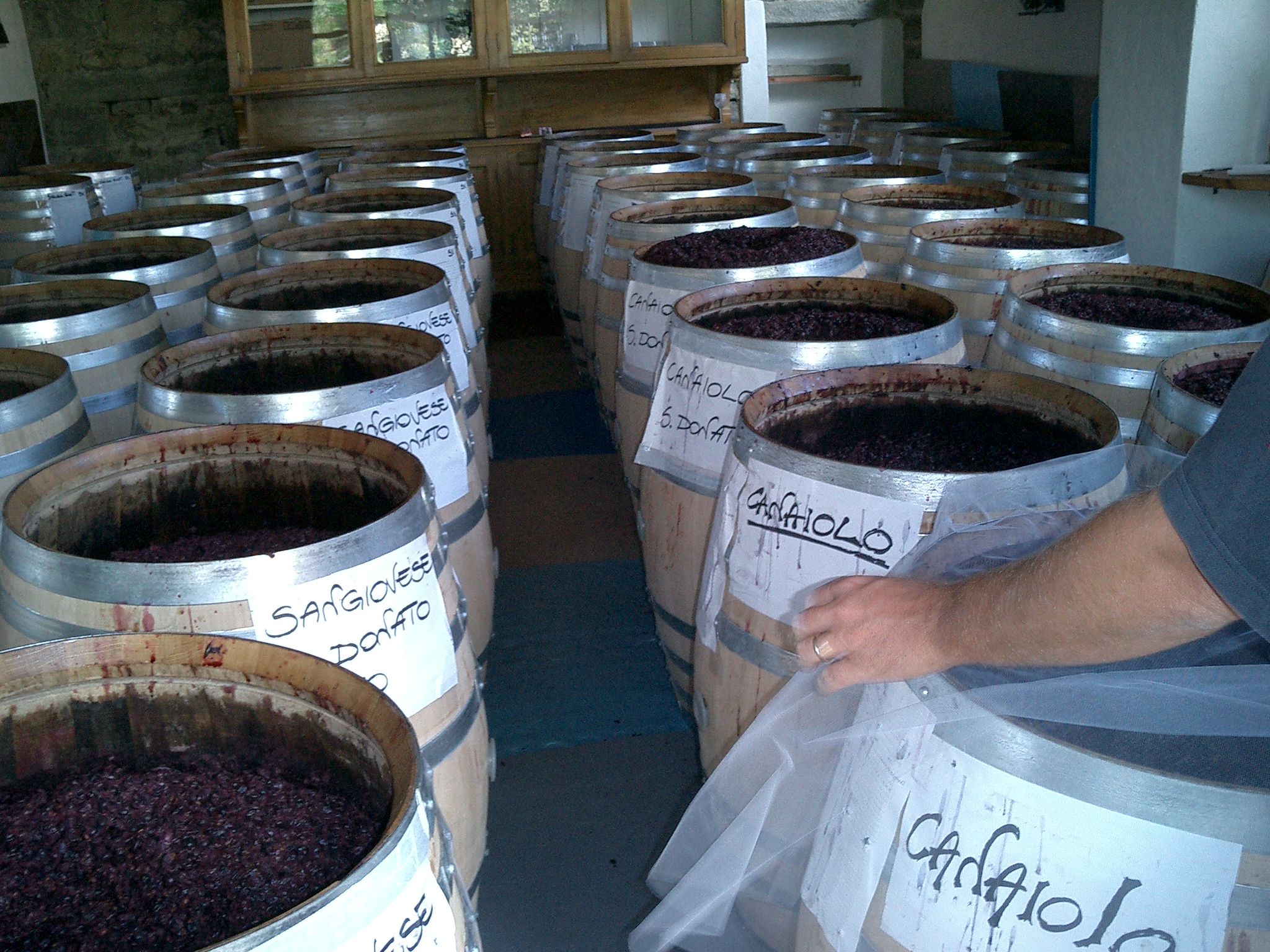 Vintage Trade | Wine Agency